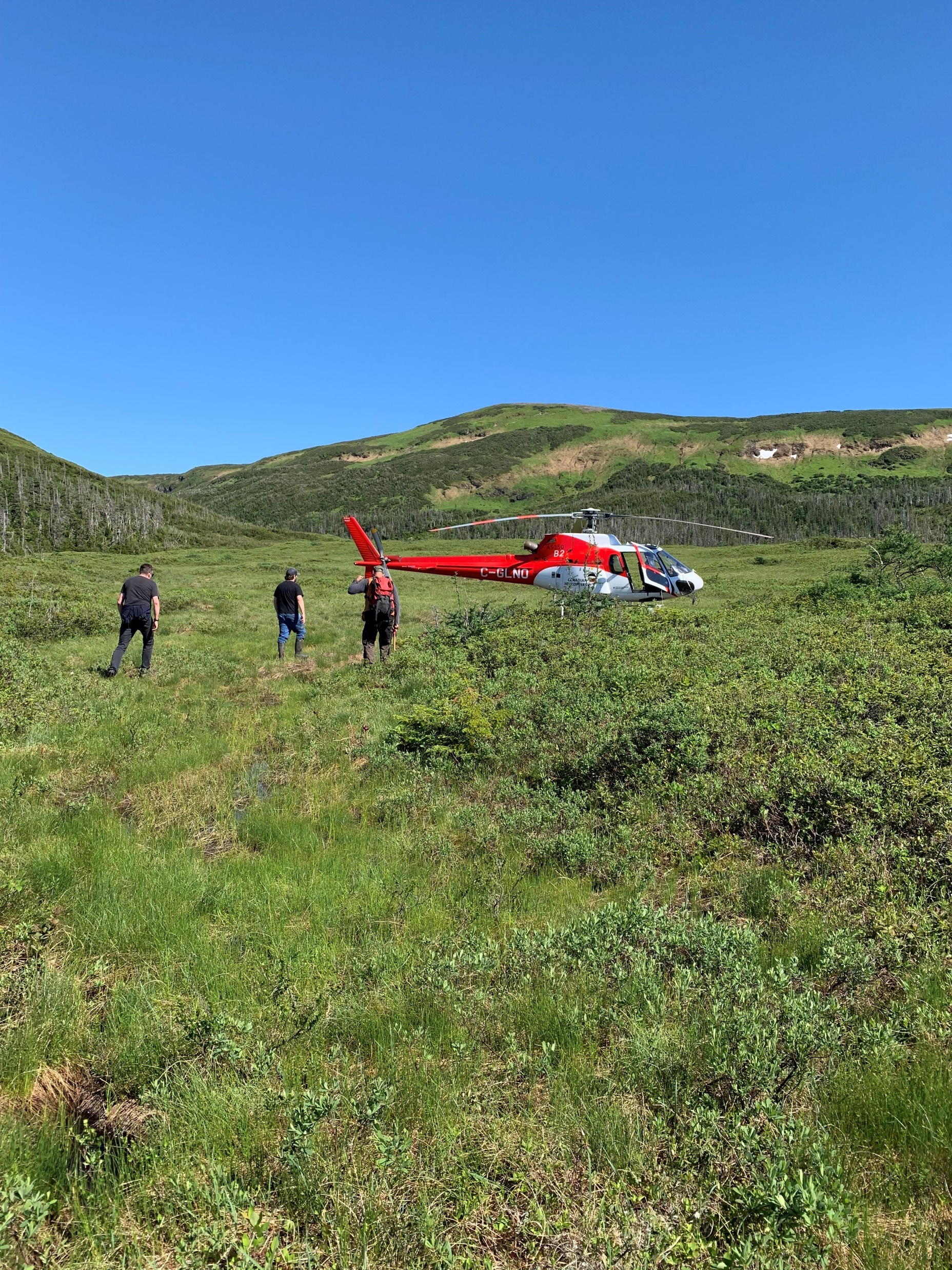 Gregory River - Golden Spike Resources Corp. (GLDS.CN)