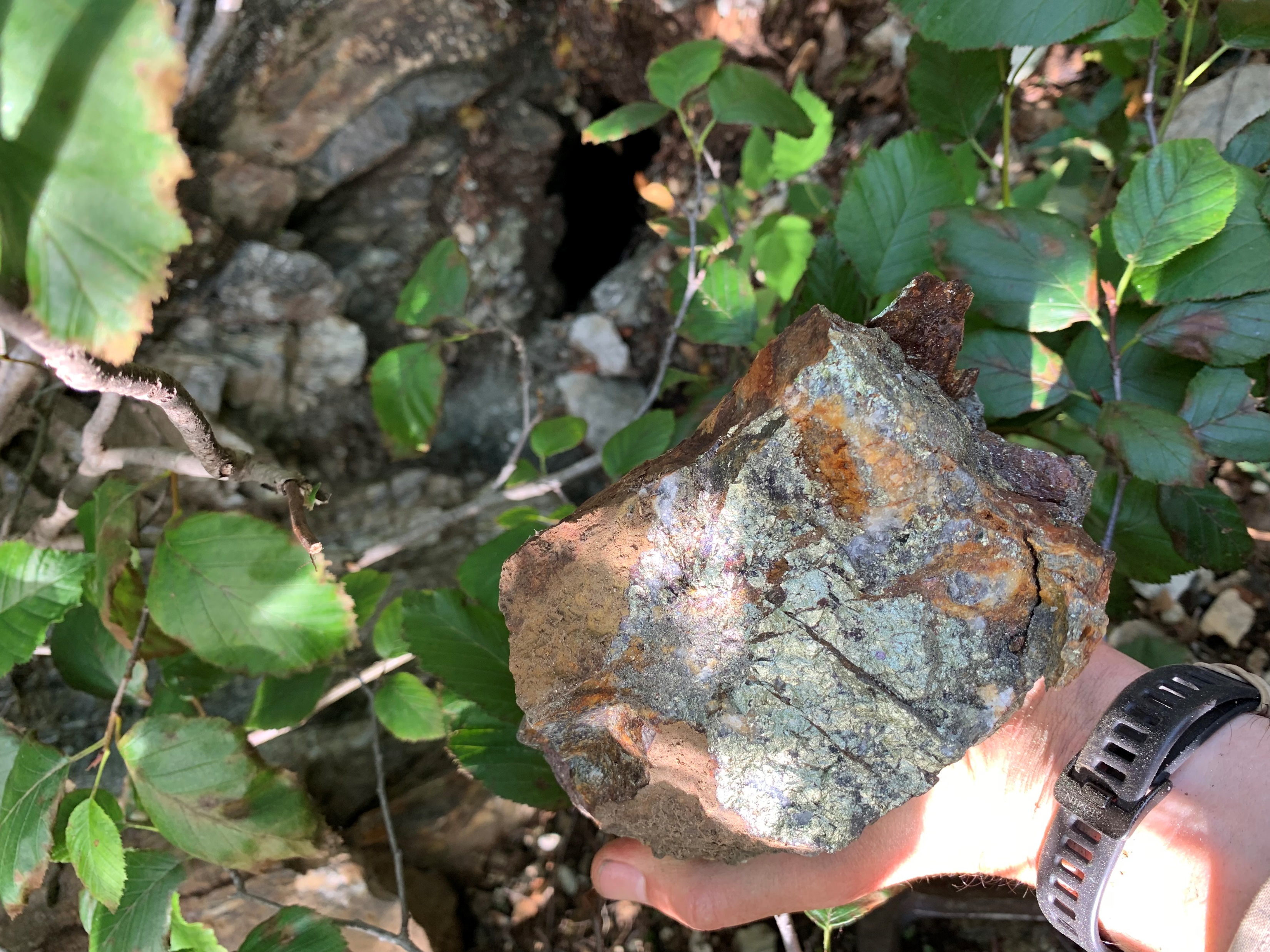 Gregory River - Golden Spike Resources Corp. (GLDS.CN)